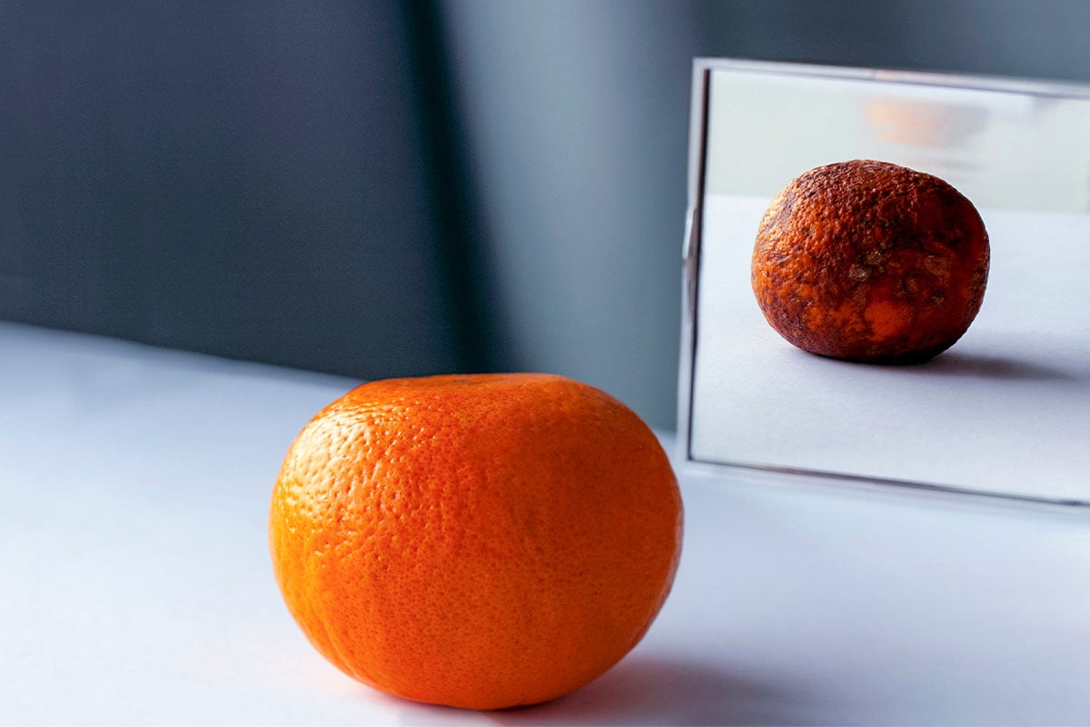Top Ten Food Fraud Products