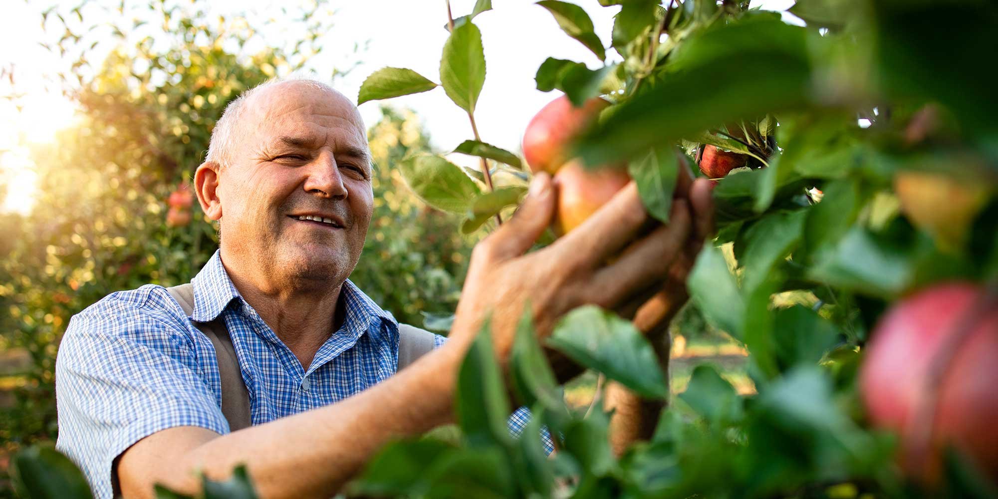 PrimusGFS Certification | PrimusGFS Audit | PrimusGFS Standard